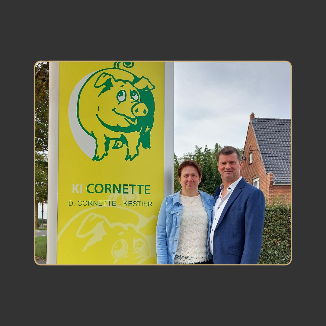 KI-Centrum in de kijker - Cornette - Vlaamse Pietrain Fokkerij VZW